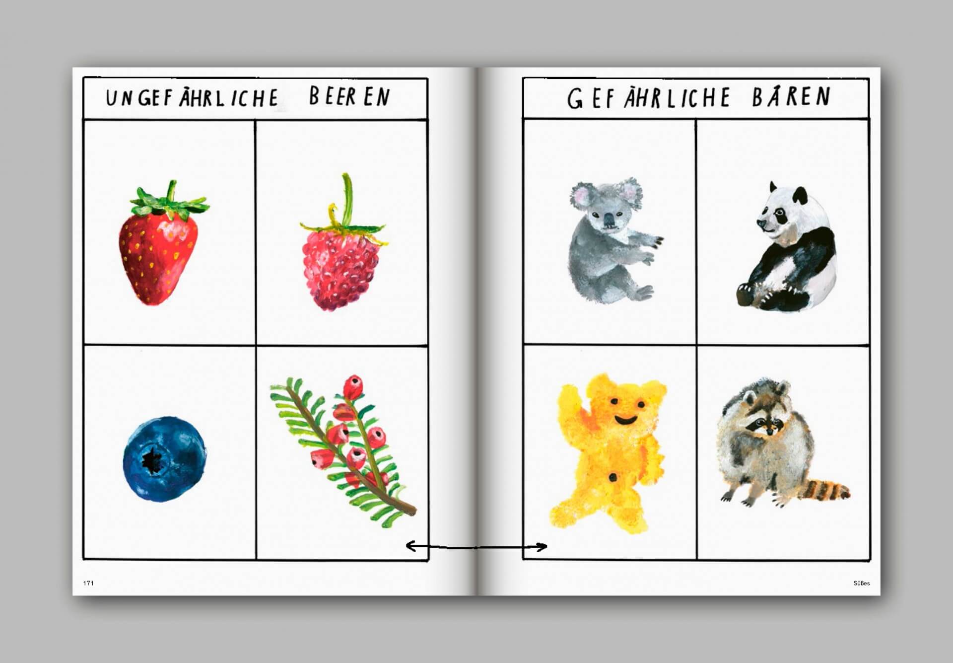 Kochbuch-Undwasisstdudann-Beeren • Fructopia