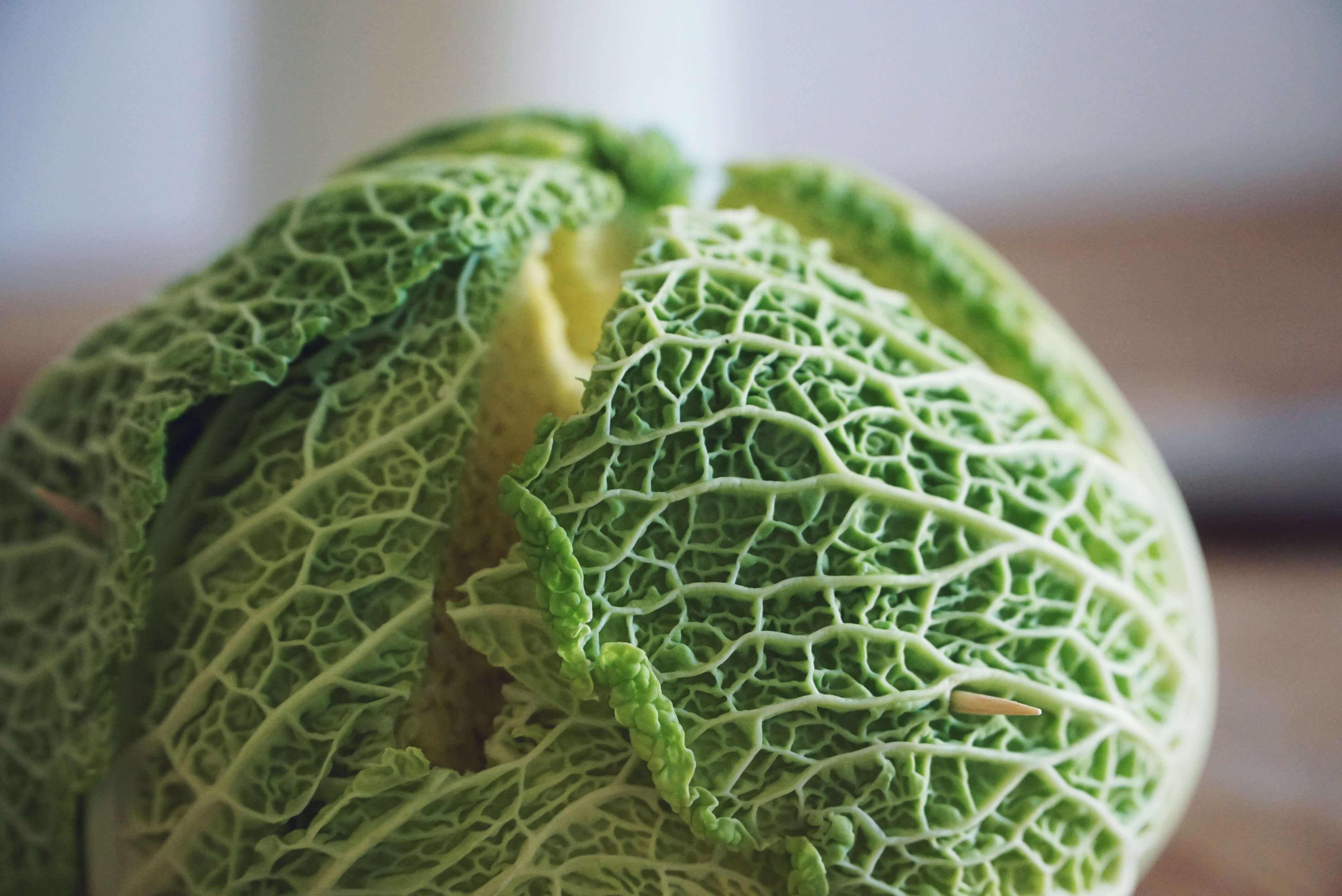 Fructopia-Wintermezze-Vorspeisenplatte-geroesteterWirsing-03 • Fructopia